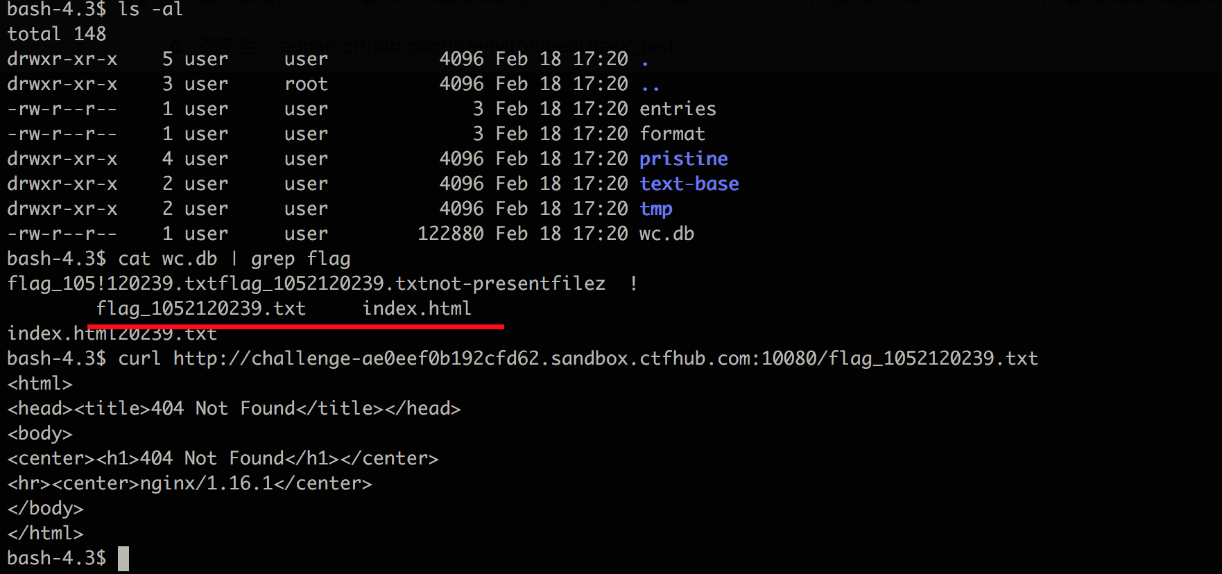 Svn泄露 Ctfhub
