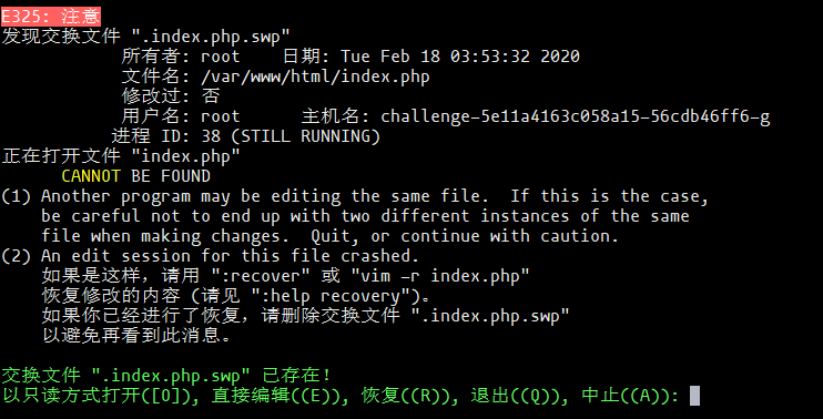 Vim缓存 Ctfhub